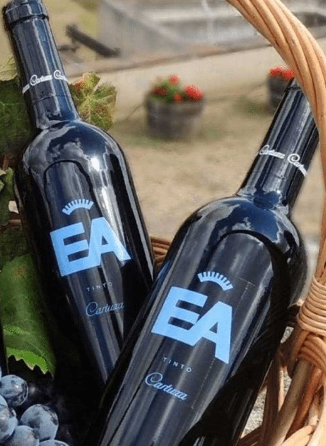 CARTUXA EA – TINTO – Ícone Vinhos | Distribuidora de Vinhos